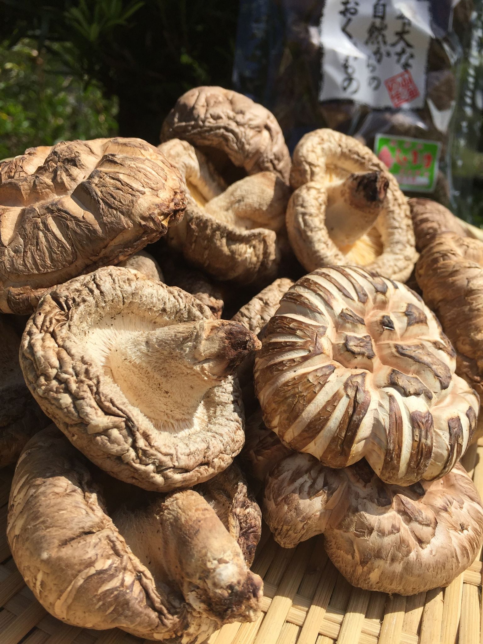 SASAKINGS CHIKUHO RECIPE VOL1｜レポート｜チクスキ